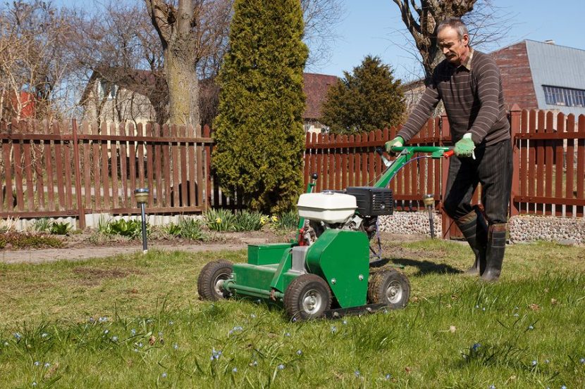 How to Prepare Lawn for Spring